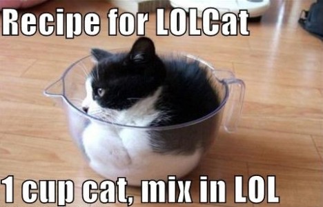 Basic Lolcat Recipe | LolKitten